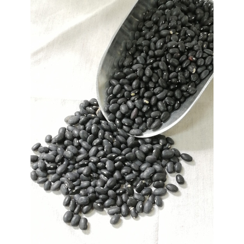 Frijol Negro | Granel | 100g min